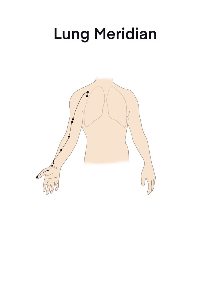 Lung meridian | Qigong for Vitality
