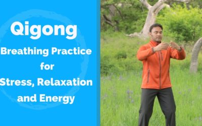 Qigong Videos and blog